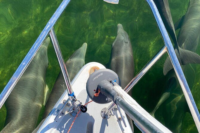 Backcountry Catamaran Bayside Sailing in Key Largo - Detailed Breakdown of the Itinerary