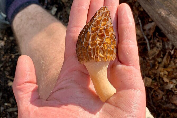 Backcountry Eats & Foraging Treats - Itineraries in Detail