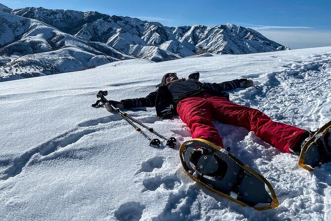 Backcountry snowshoeing in pristine Utah mountains - Pricing and Value
