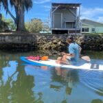 Backland Alligator Electric Paddle Tour - The Experience Provider