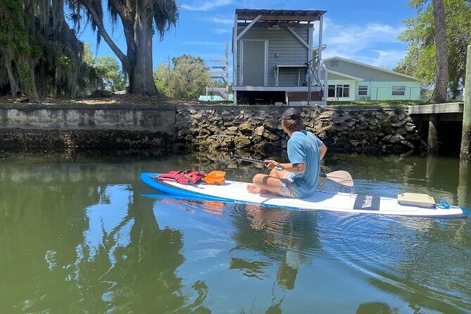 Backland Alligator Electric Paddle Tour - The Experience Provider