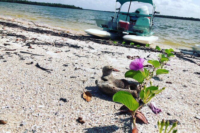 Backwater Adventure's CraigCat Tours of the 10,000 Islands - The Itinerary: What to Expect from Start to Finish