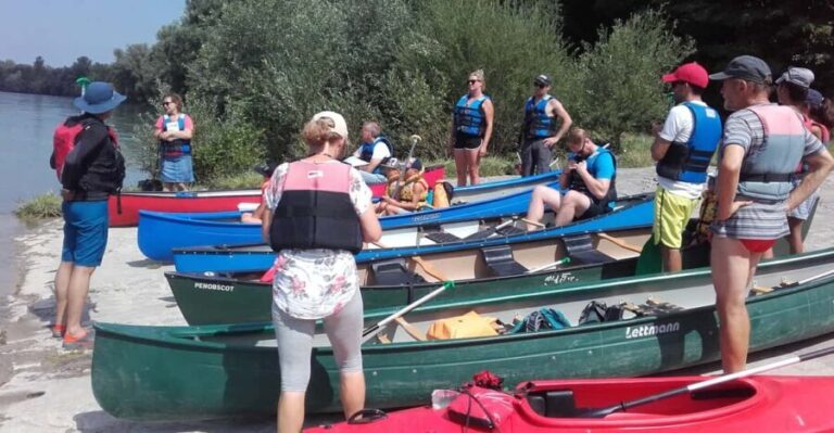 Bad Bellingen: Beginners Canoe Tour on the Altrhein - An Authentic, Relaxed River Experience