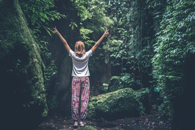 Bainbridge Island Serenity Forest Hike & Cultural Landmarks Tour - The Rich Blend of Cultural and Natural Experiences