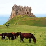 Baku:Guba,Shahdag and Candy Cane Mountain Lunch included - Practical Details: What You Should Know