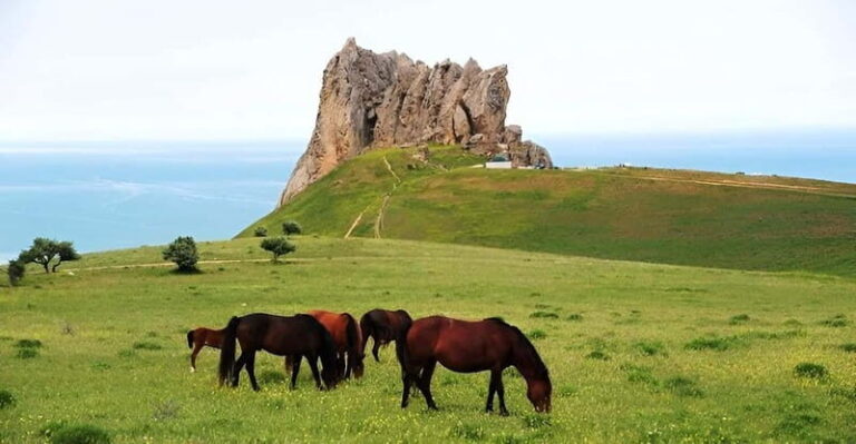 Baku:Guba,Shahdag and Candy Cane Mountain Lunch included - Practical Details: What You Should Know