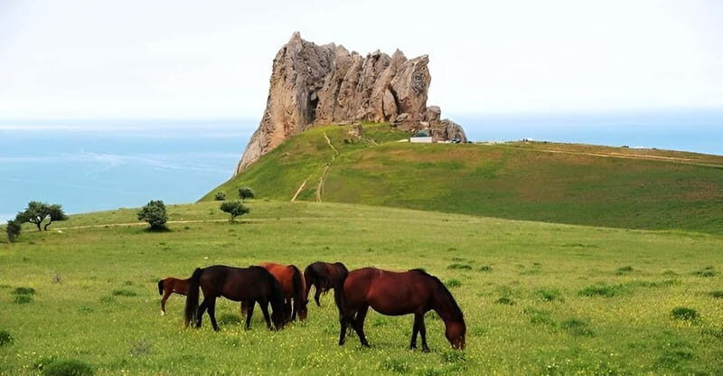 Baku:Guba,Shahdag and Candy Cane Mountain Lunch included - Practical Details: What You Should Know