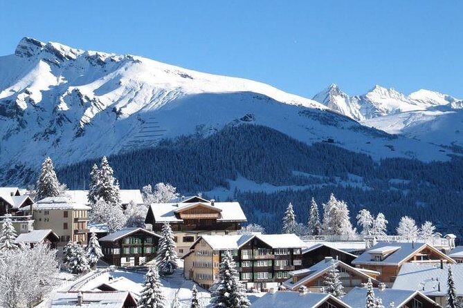 Bakuriani ski resort and the legendary Borjomi (Group Tour) - Practicalities and Tips for the Tour
