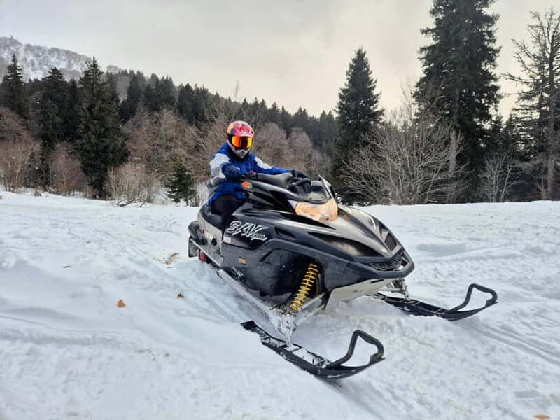 Bakuriani: Unforgetable snow activities from Kutaisi - The Sum Up