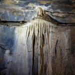 Ballyvaughan: Aillwee Burren Experience Entry Ticket - The Birds of Prey Centre: Up Close with Raptors