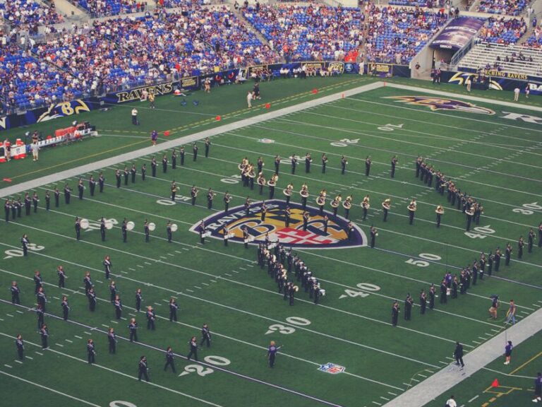 Baltimore: Ravens Football Game Ticket at M&T Bank Stadium - The Ticket and Entry Process