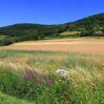 Bamberg Countryside Breweries Beer Hike Food Experience - Final Thoughts