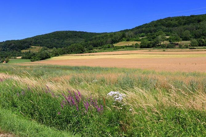 Bamberg Countryside Breweries Beer Hike Food Experience - Final Thoughts