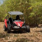 Bamboo Dune Buggy Tour - Authenticity and Value