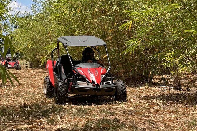 Bamboo Dune Buggy Tour - Authenticity and Value