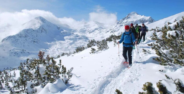 Bansko: Easy snowshoeing Pirin National Park & thermal spa - What to Expect During the Snowshoeing Activity