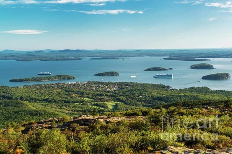 Bar Harbor: Acadia National Park Tour with Lobster Roll - The Bottom Line