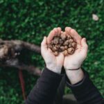 Barberino Tavarnelle: Truffle Hunt Tour with Lunch or Dinner - The Itinerary in Detail
