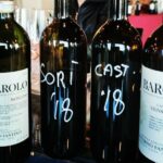 Barolo&Barbaresco wine tour with a local winemaker from Alba - The Itinerary in Detail