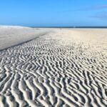 Barrier Island Shelling Tour - Who Will Love This Tour?