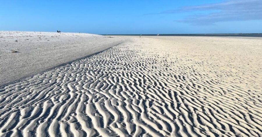 Barrier Island Shelling Tour - Who Will Love This Tour?