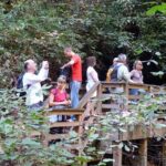 Bartram Trail Hike plus Wine Tasting - What We Appreciate About This Tour