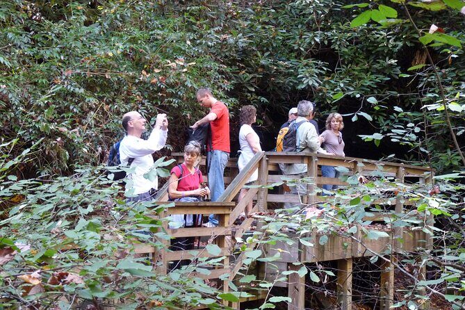 Bartram Trail Hike plus Wine Tasting - What We Appreciate About This Tour