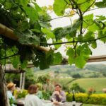 BASQUE CHEESE and TXAKOLI WINE - Private Gastronomic Adventure - A Deep Dive Into the Itinerary