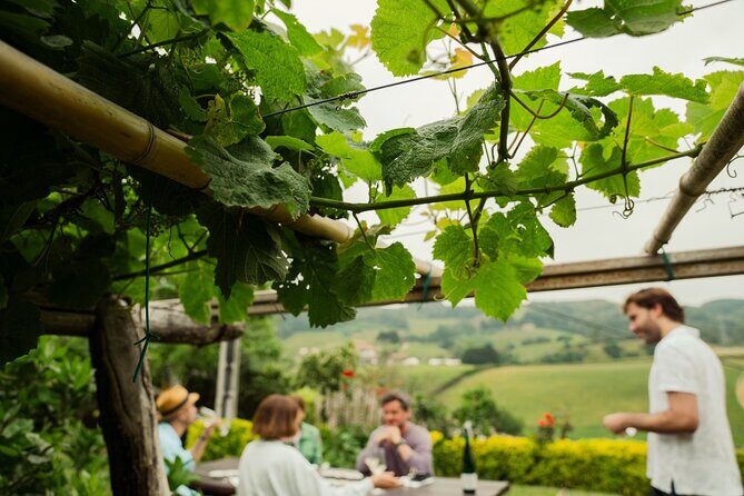 BASQUE CHEESE and TXAKOLI WINE - Private Gastronomic Adventure - A Deep Dive Into the Itinerary