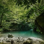 Batumi to Mtirala National park - Half day hiking group tour - What We Loved About the Tour