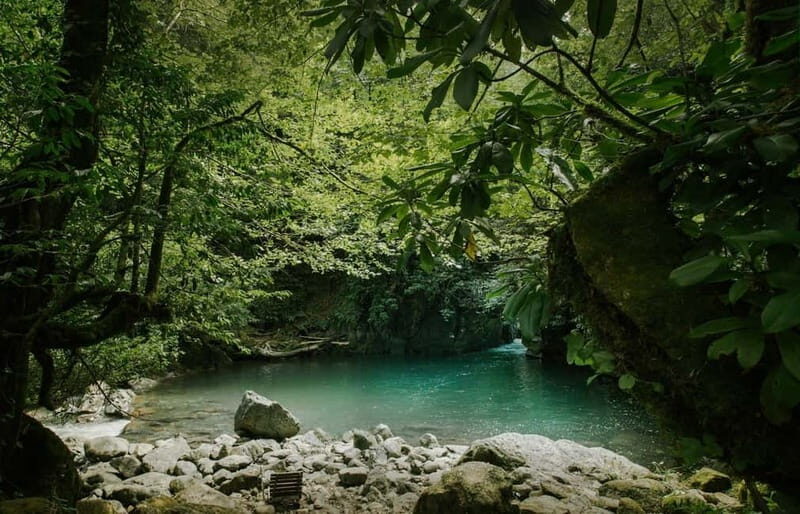 Batumi to Mtirala National park - Half day hiking group tour - What We Loved About the Tour