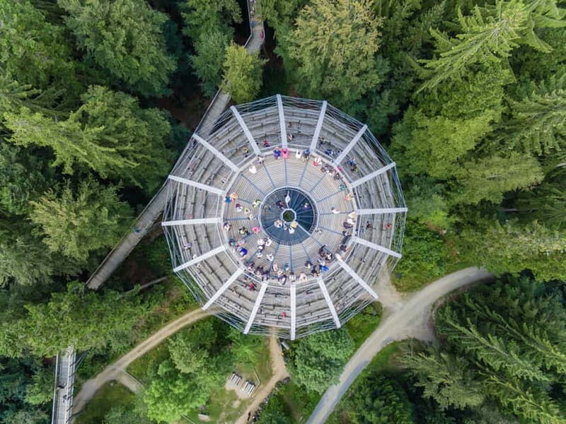 Bavarian Forest: Treetop Walk & Egg Tower Experience - Educational Value and Visitor Facilities