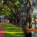 Bayous And Byways, Oak Alley Plantation And Kayak Swamp Tour - A Practical Breakdown of the Tour