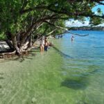 Bayside Market Place Snorkeling for Beginners - What to Expect from the Experience