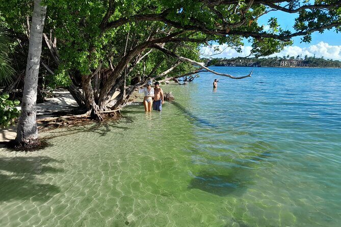 Bayside Market Place Snorkeling for Beginners - What to Expect from the Experience