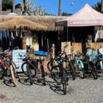 Beach Cruiser Bike Rental All Day Solana Beach - Why It’s a Great Choice for Active Explorers