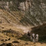 Beach gallop - horse riding Safari for experienced riders - An In-Depth Look at the Santorini Beach Gallop Experience