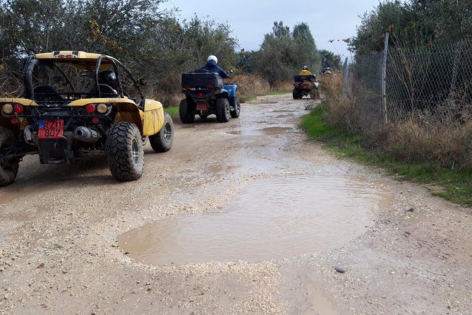 Beach & Off road Buggy Safari in Paphos - Who Should Consider This Tour?