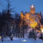 Bear Sanctuary and Bran Castle with a Professional Licensed GuideDay Trip - A Closer Look at the Itinerary