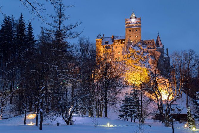 Bear Sanctuary and Bran Castle with a Professional Licensed GuideDay Trip - A Closer Look at the Itinerary