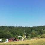 Bear Sanctuary and Dracula's Castle, 1-day Private Tour - What Youll Experience on This Tour