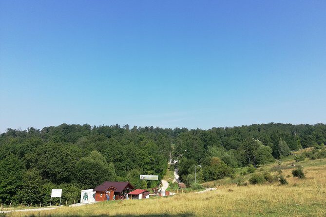 Bear Sanctuary and Dracula's Castle, 1-day Private Tour - What Youll Experience on This Tour