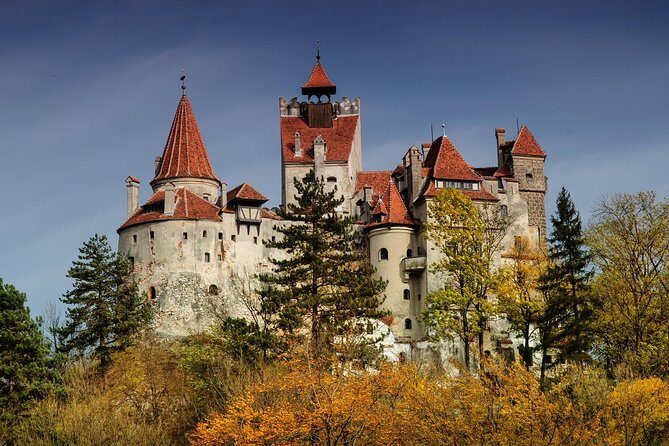 Bear Sanctuary, Bran (Dracula) Castle, Peles Castle From Brasov - Delivery of the Experience