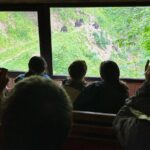 Bear Watching In Brasov: Observe Wild Bears From A Hideout (100%) - Detailed Itinerary Breakdown