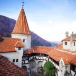 Bears Sanctuary, Dracula Castle and Poiana Brasov-Private day tour from Brasov - Practical Details
