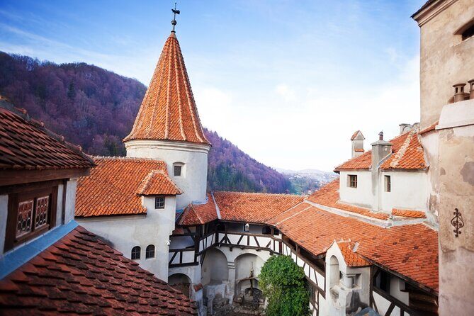 Bears Sanctuary, Dracula Castle and Poiana Brasov-Private day tour from Brasov - Practical Details