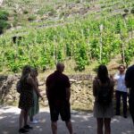 Beaujolais 100% wine tour Small-Group Tour with Tasting from Lyon - Analyzing the Value
