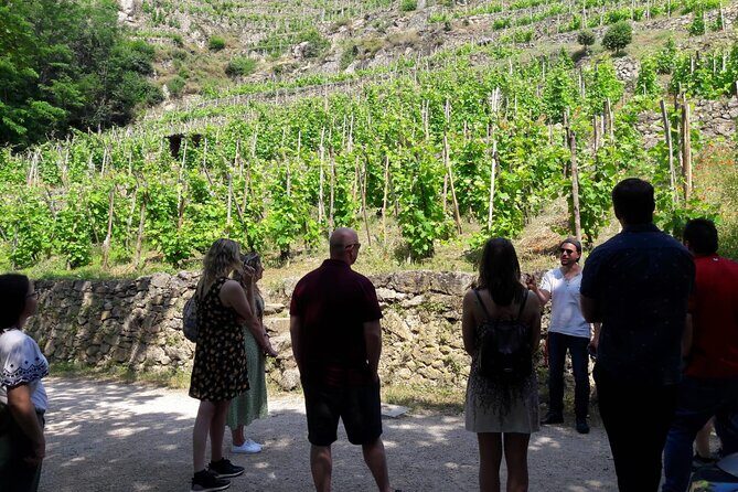 Beaujolais 100% wine tour Small-Group Tour with Tasting from Lyon - Analyzing the Value