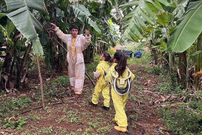Bee Farm Ecotour and Honey Tasting in Waialua, North Shore Oahu - A Closer Look at the Experience
