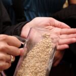 Beer and Brewery Tour in Munich - What the Experience Means for You